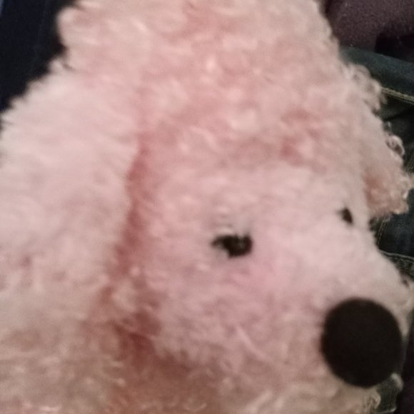 GANZ | Toys | Ganzwebkinz Pink Curly Poodle With Tags Realistic Girly ...